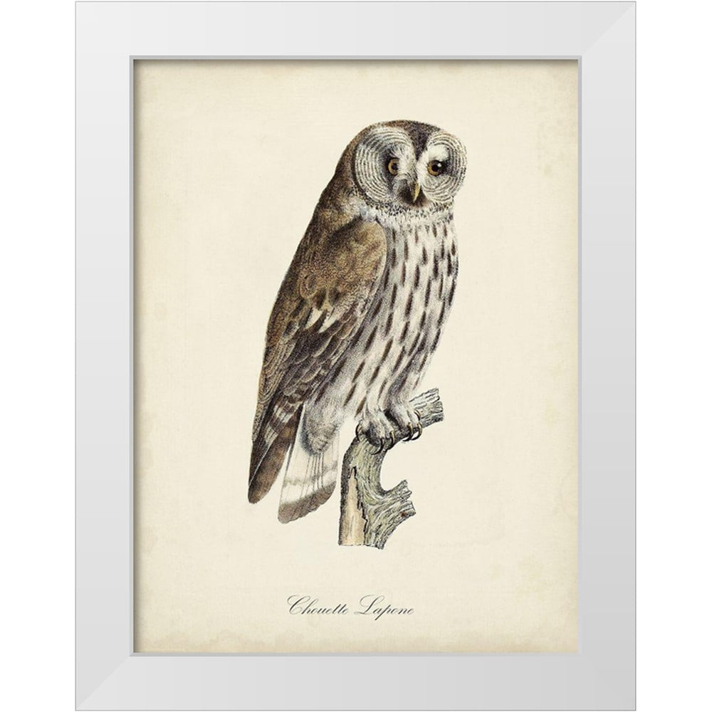 de Langlois 15x18 White Modern Wood Framed Museum Art Print Titled ...