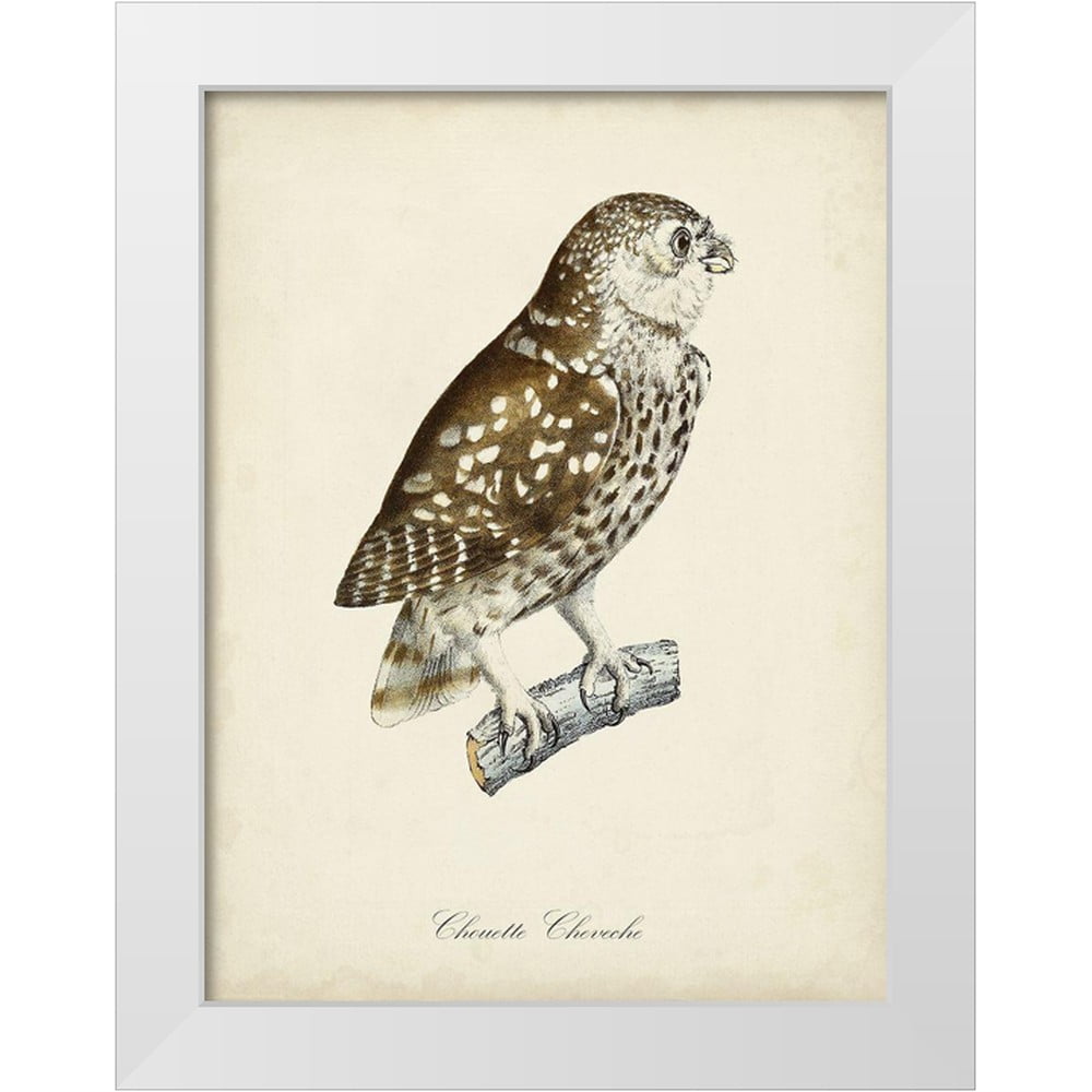 de Langlois 19x24 White Modern Wood Framed Museum Art Print Titled ...