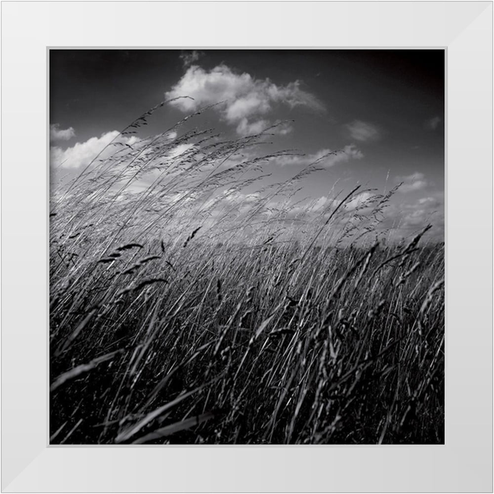 de Lattre, Pascal 20x20 White Modern Wood Framed Museum Art Print ...