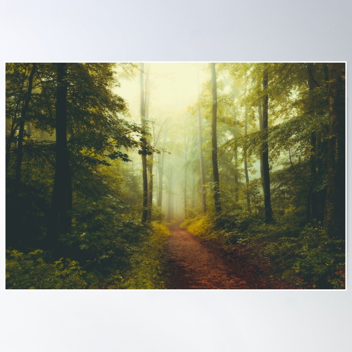 deeper and deeper - misty spring forest Poster, 16x24 UNFRAMED - Walmart.com