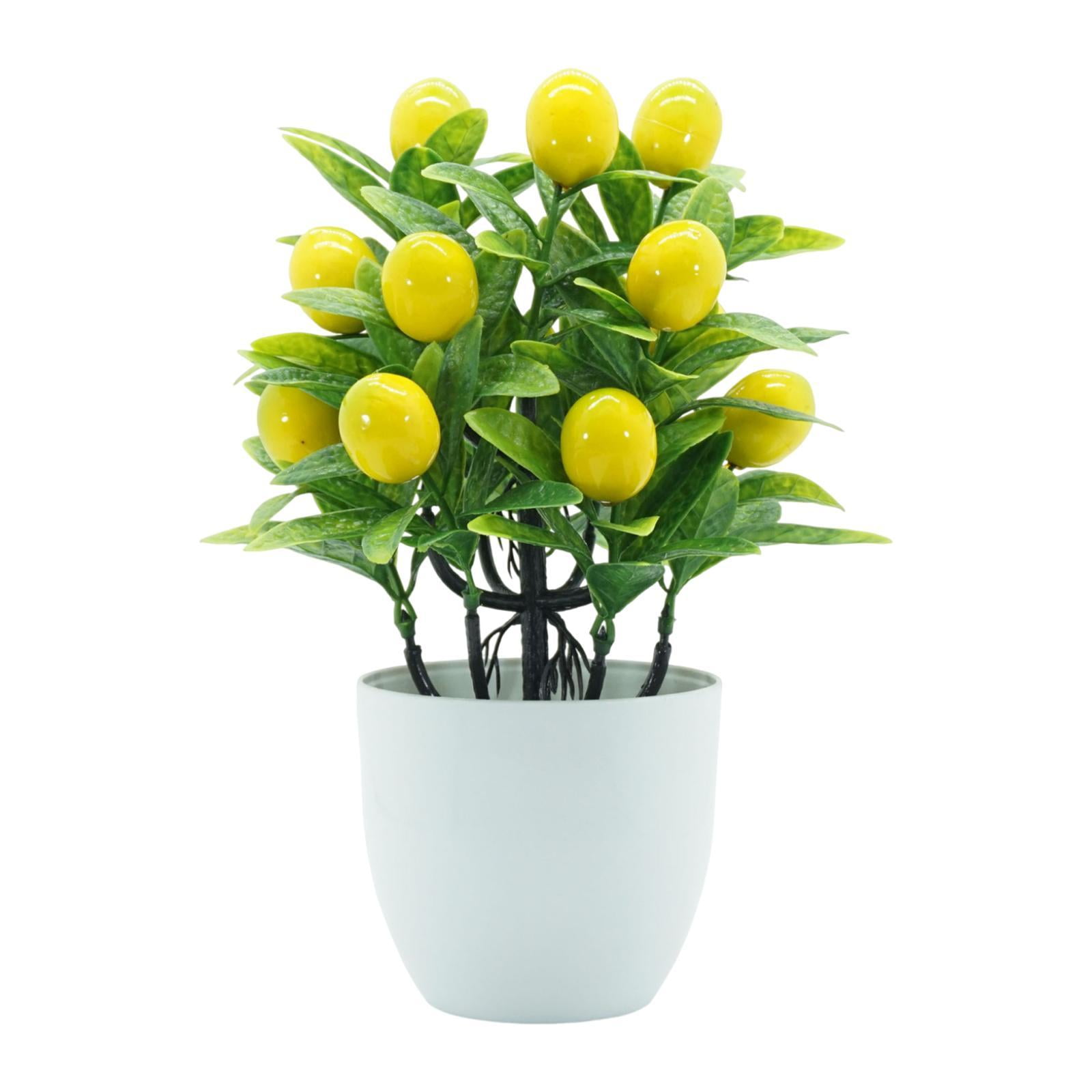 deevoka Artificial Fruit Plants False Fruit Trees Decoration De Office ...