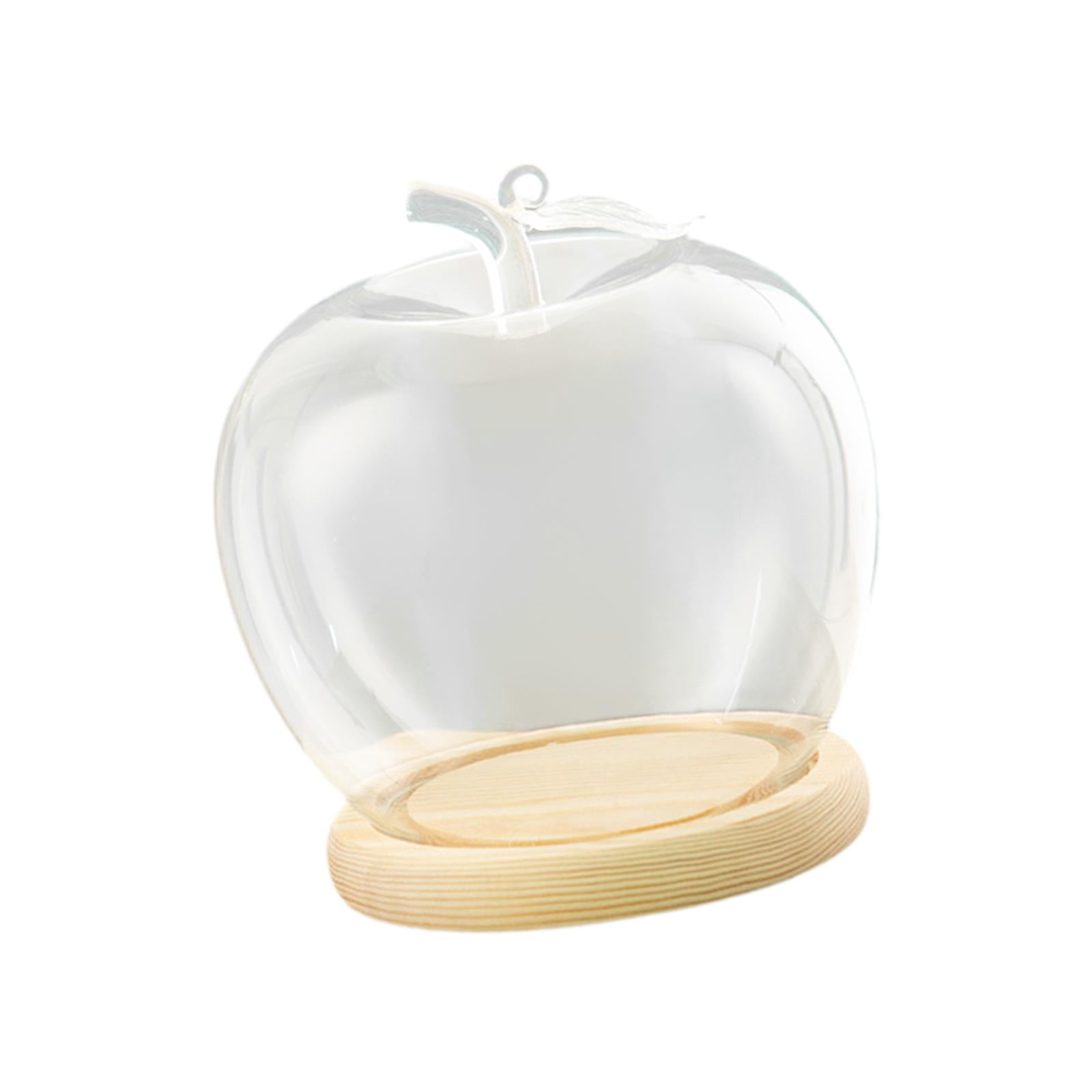 deevoka Clear Glass Dome Jar Empty for Home Decor Flower Arrangements ...