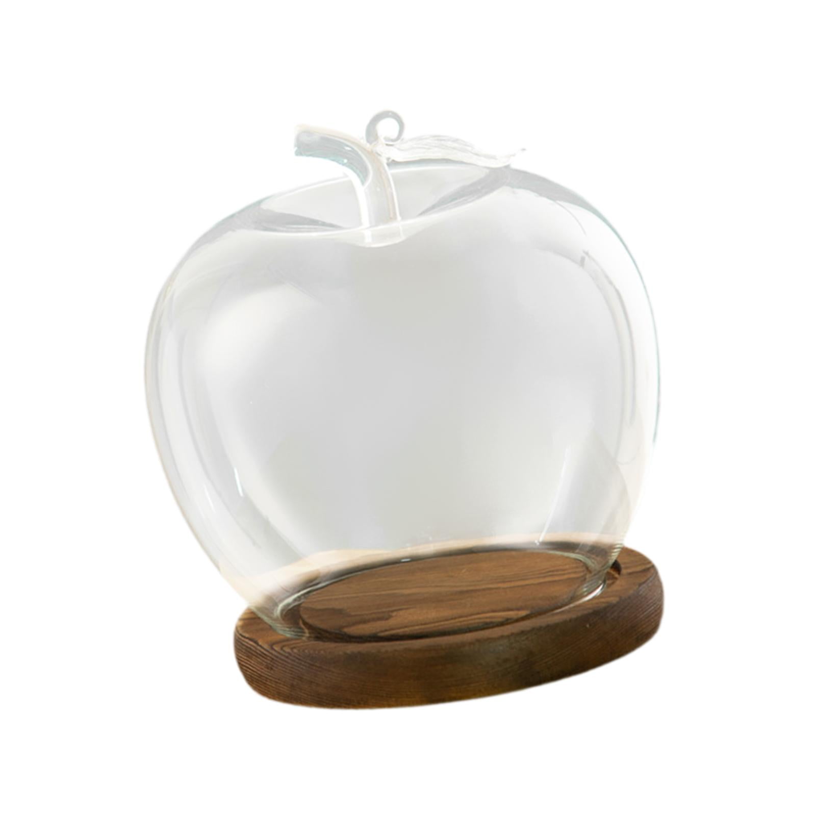 deevoka Clear Glass Dome Jar Empty for Home Decor Flower Arrangements ...