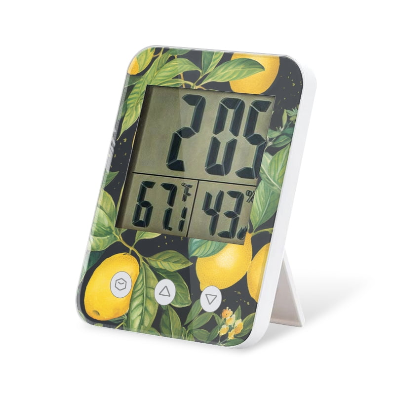digital hygrometer indoor thermometer with High Accuracy Sensor LCD ...