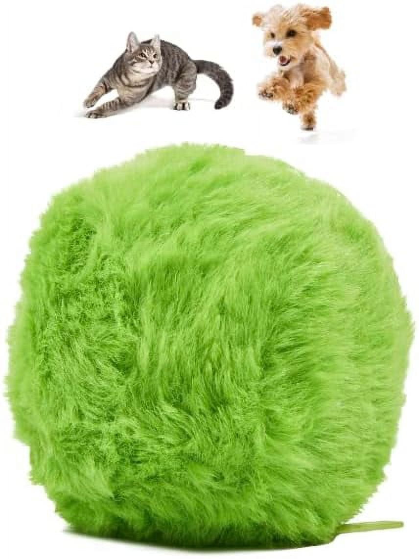 dipperdap Electronic Interactive Rolling Ball, Pet Toy, Exercise Ball ...