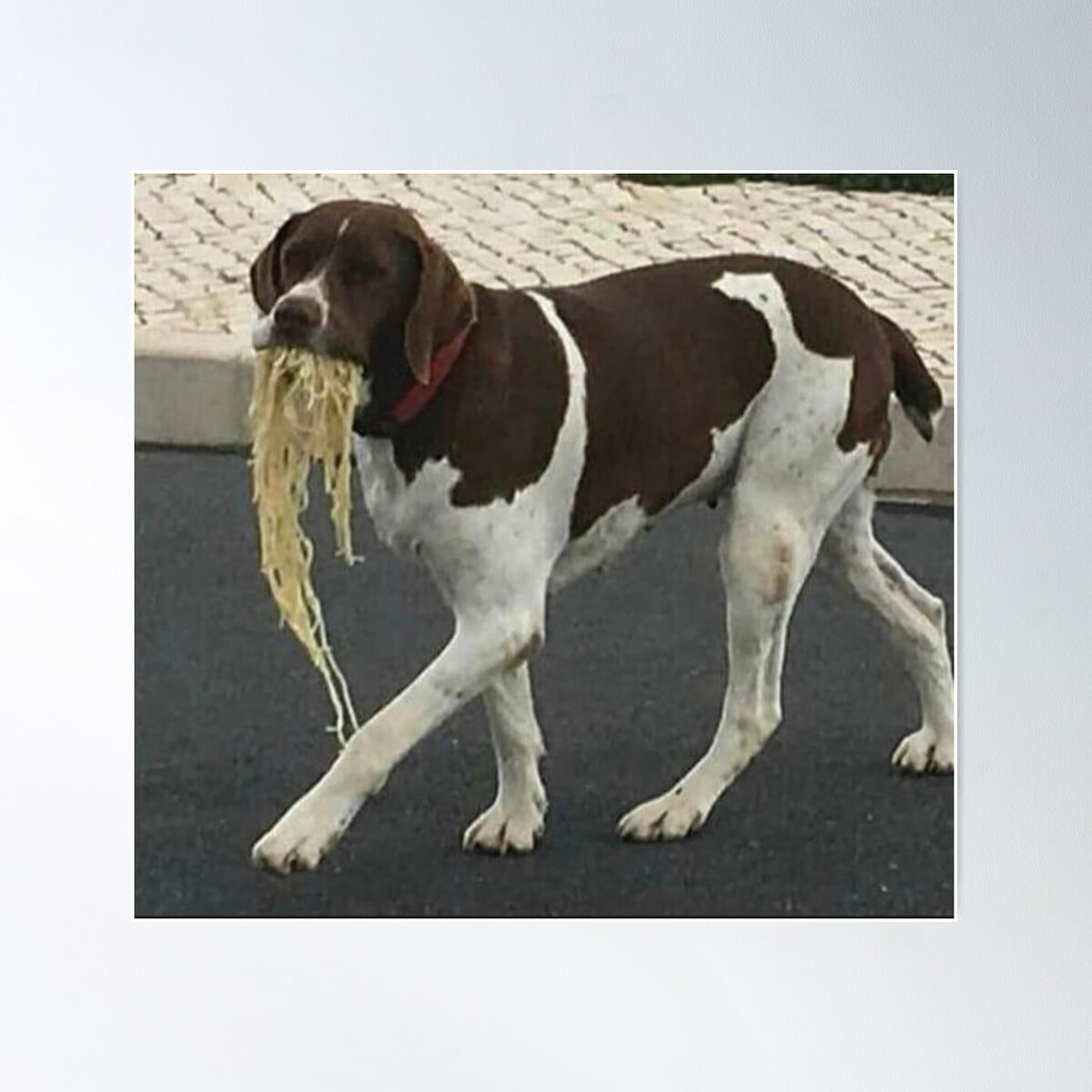 dog eat spaghetti Poster, 24x36 UNFRAMED - Walmart.com
