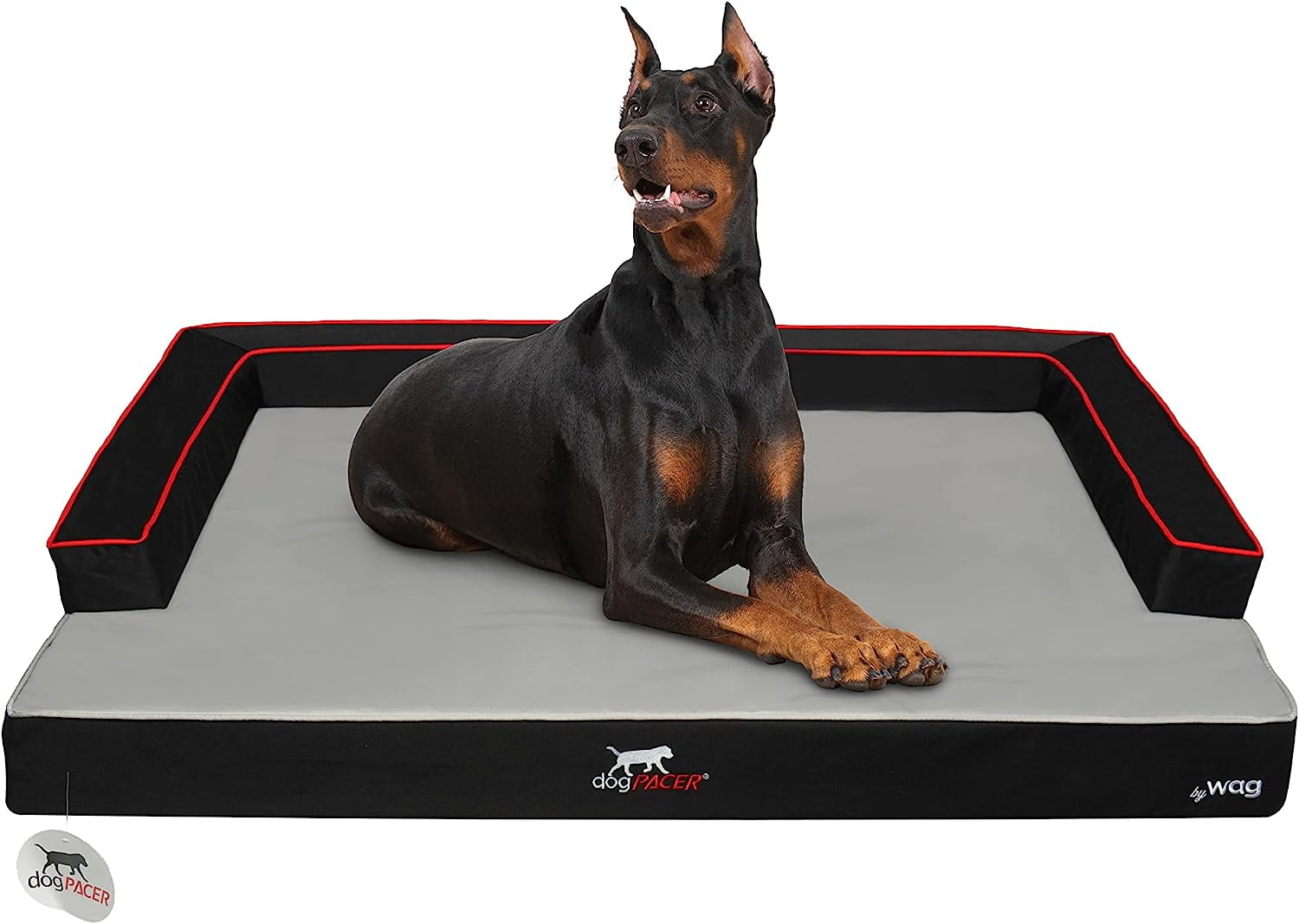 dogPACER Indoor Outdoor Pet Recovery Dog Bed | Multi Element Extreme ...