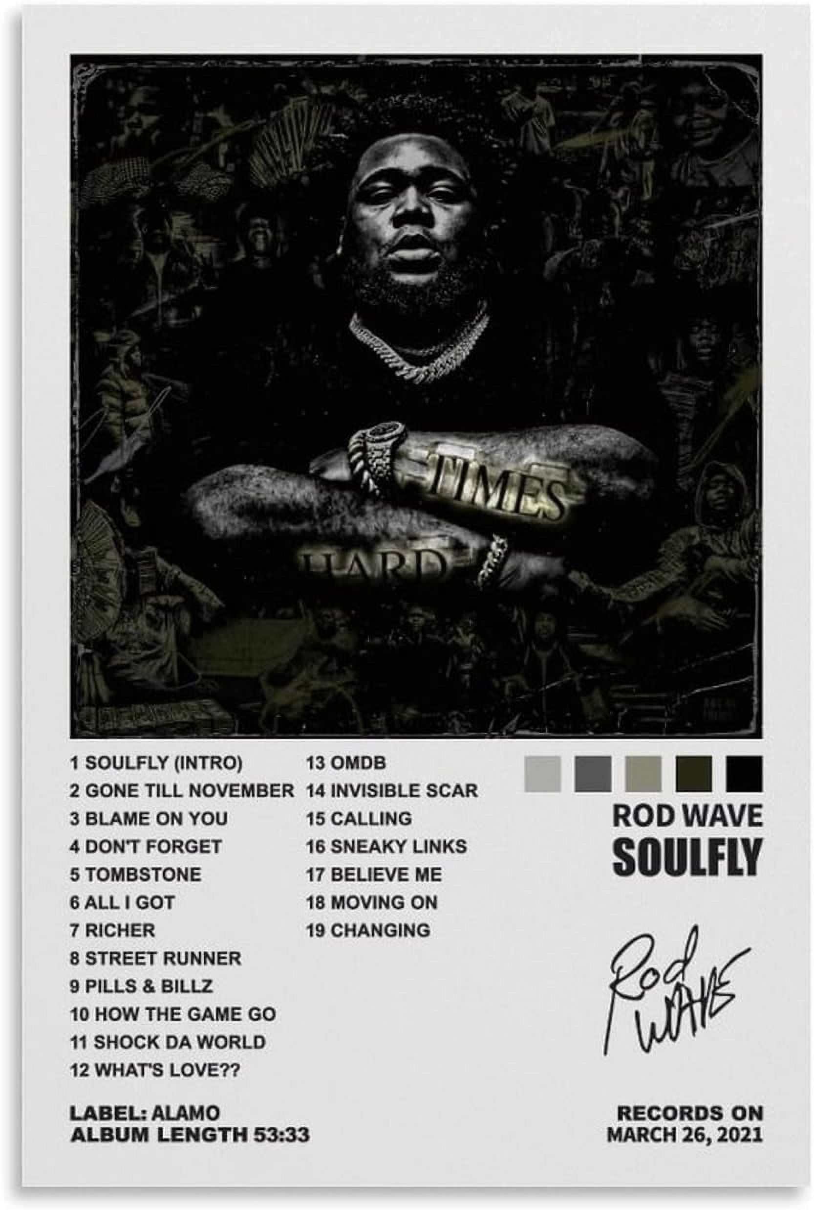 doopz Olivia Poster Rodrigo Guts Album Cover Posters for Room Aesthetic ...