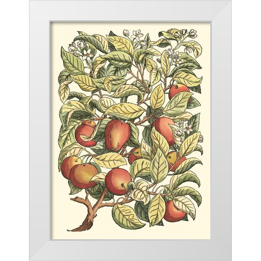 du Monceau, Duhamel 14x18 White Modern Wood Framed Museum Art Print ...