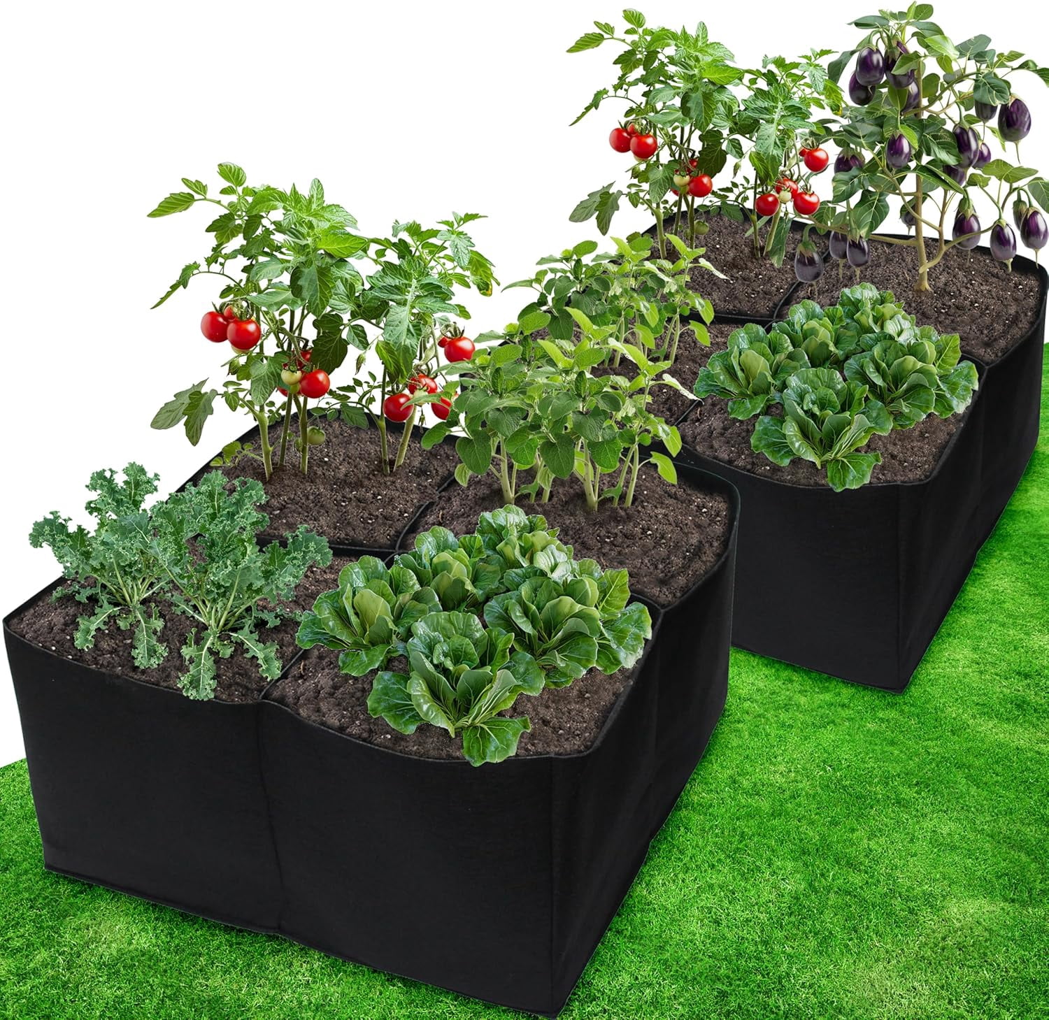 dvbiyno 2 Pack Fabric Raised Garden Beds 2x2x1 FT \u2013 4 Grids Grow ...