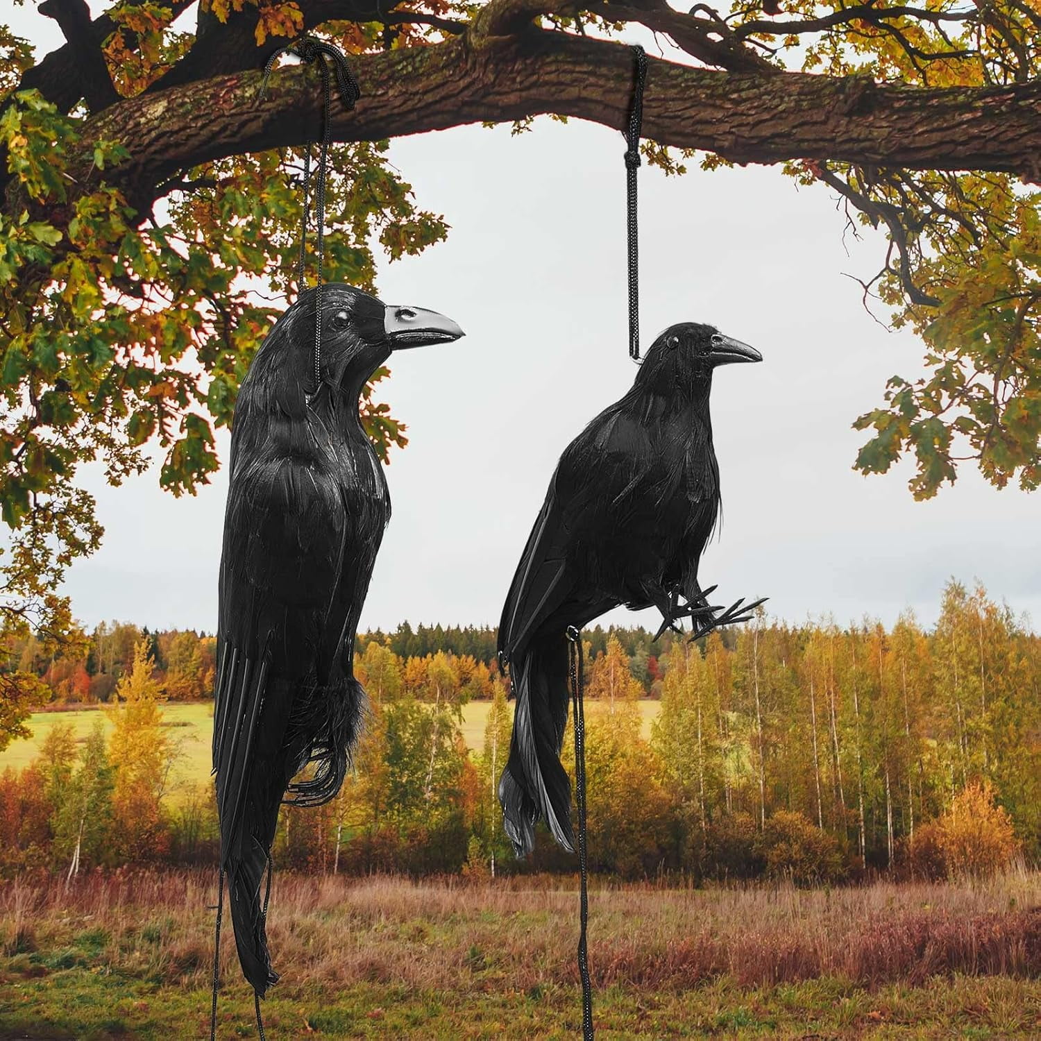 dvbiyno 2 Pcs Realistic Hanging Dead Crows 17 Inches 12 Inches Decoy ...