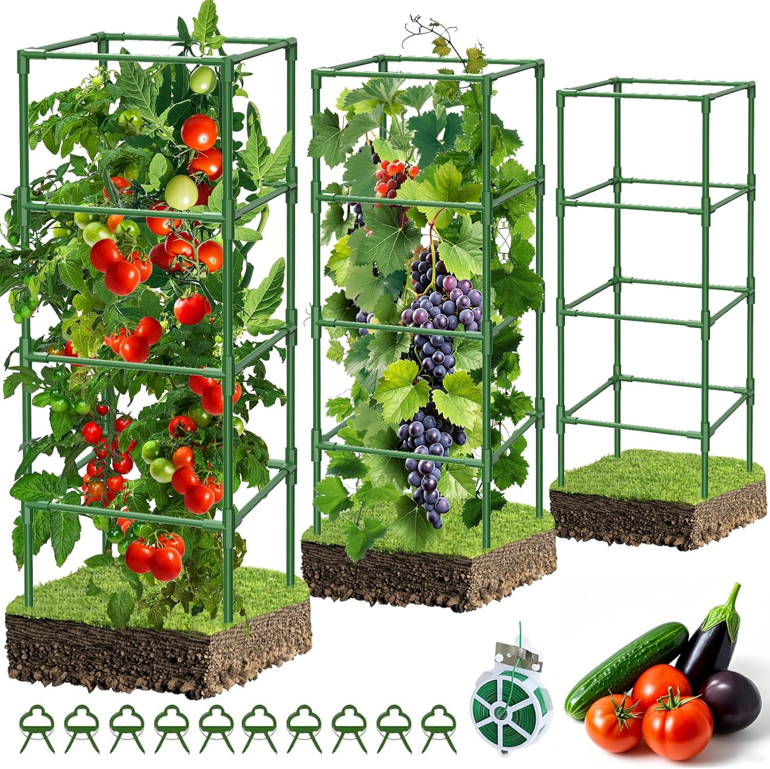 Terrific Heavy Duty Tomato Cage Pictures