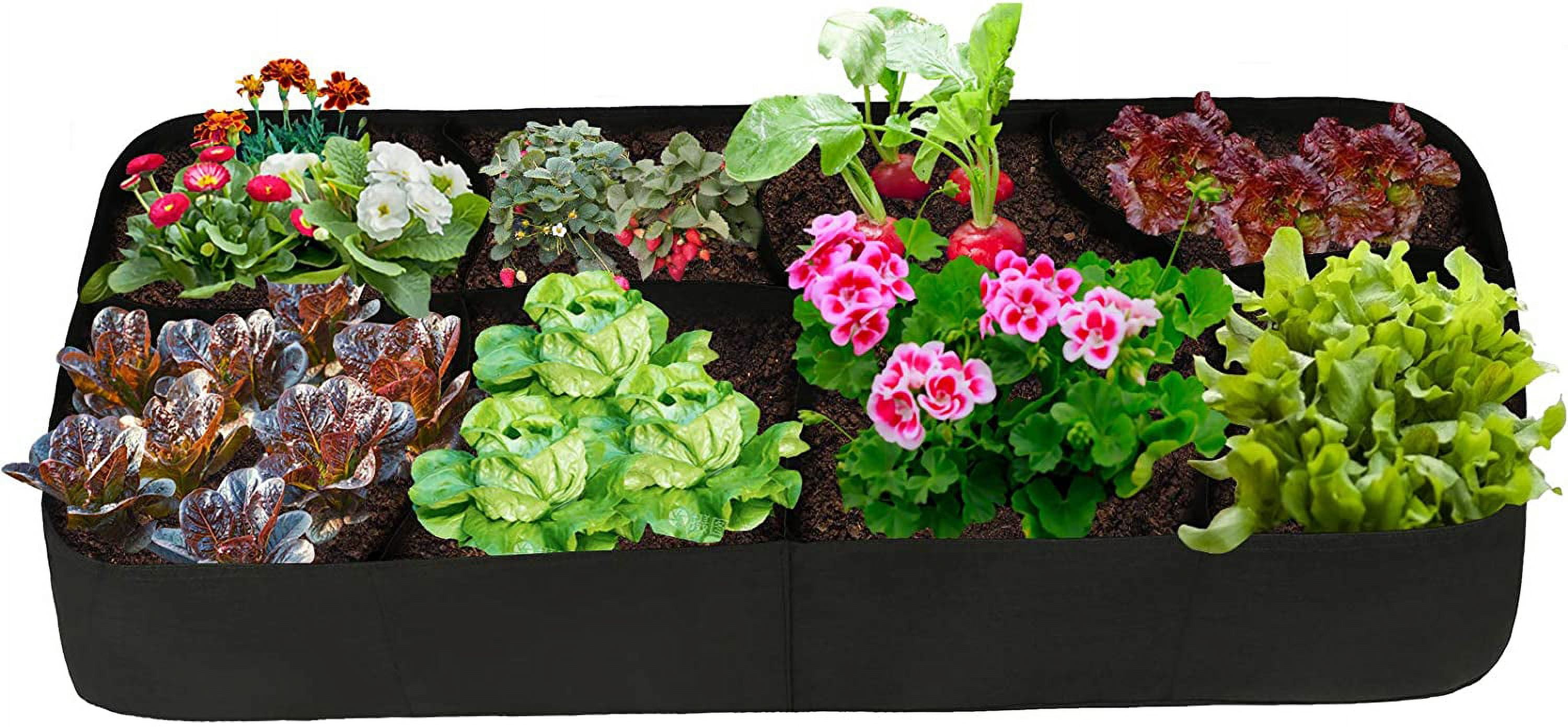 dxynlg Fabric Raised Planting Bed Garden Grow Bags Herb Flower ...