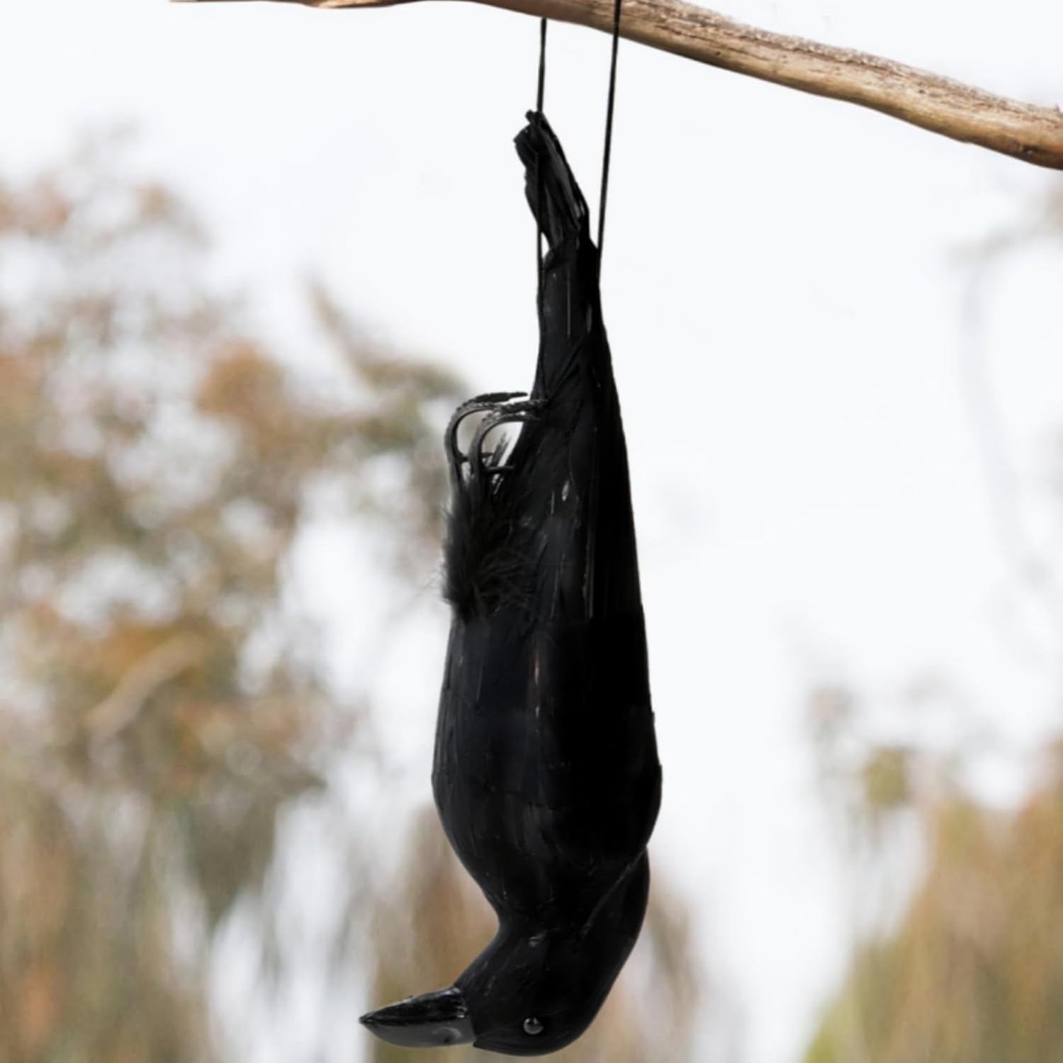 dxynlzq 17 Inches Realistic Hanging Dead Crow Lifesize Extra Large ...