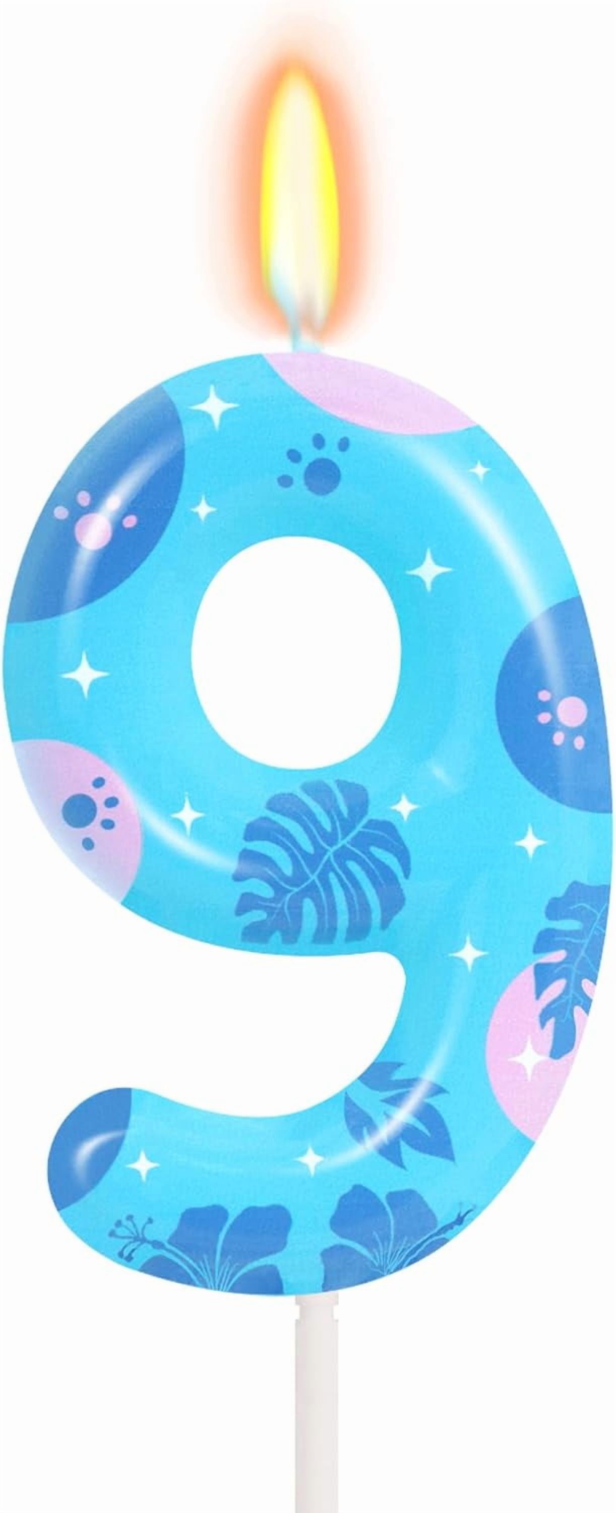 Hltser 6th Birthday Candle for Girls Boys Leaves Red Cake Topper Hawaii ...