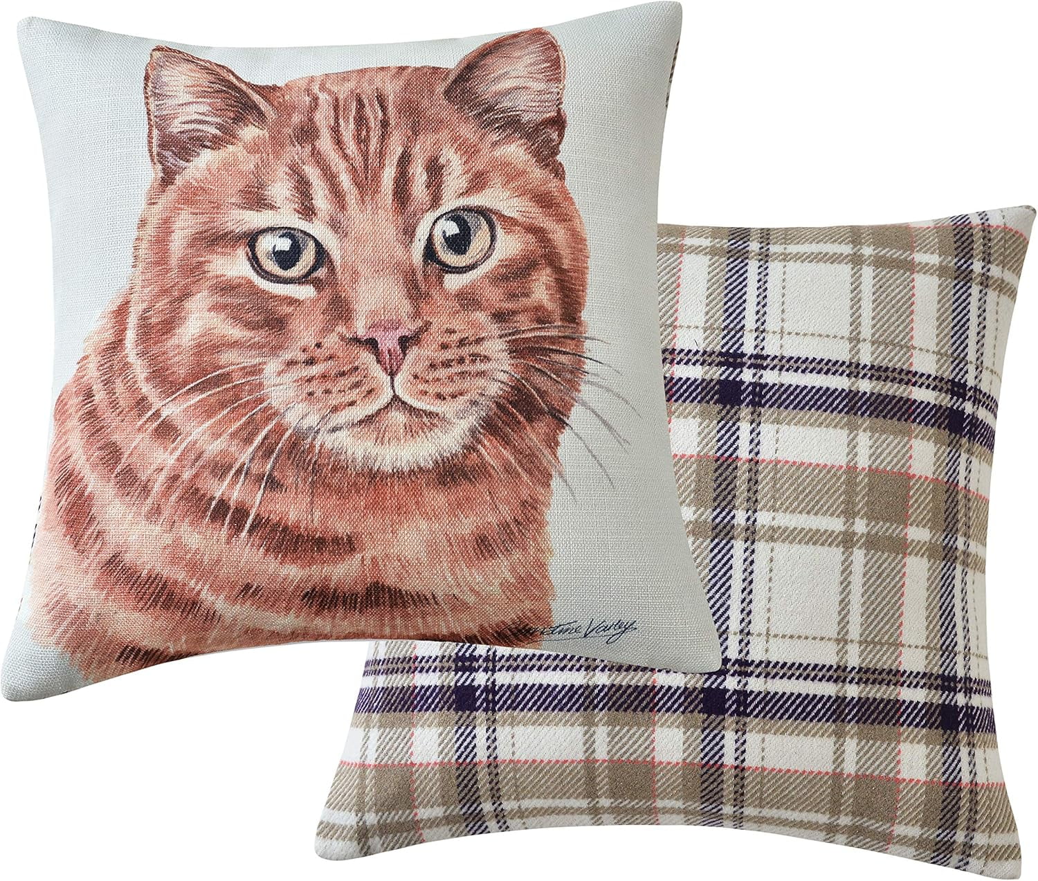 dxynlzq HIPOTY Donkeys Filled Animal Cushion-43 x 43cm / 17 x 17-inch ...