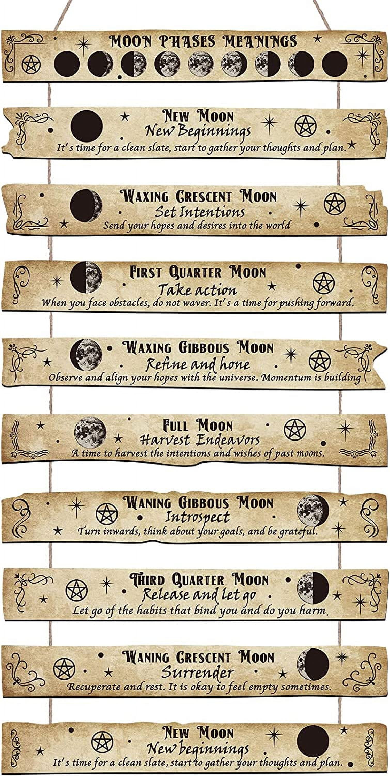 Witchcraft Knowledge Sign Moon Decor Halloween Witch Decor Kitchen ...