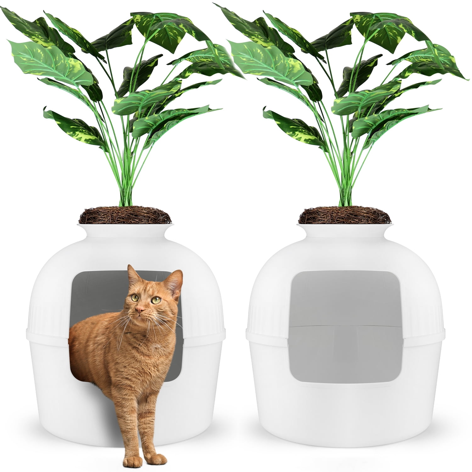 eXuby 2X Hidden Litter Box for Cats - The Only White Planter Furniture ...
