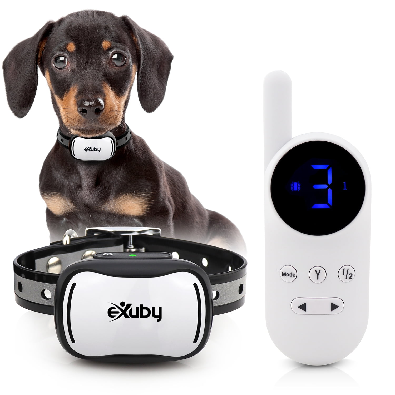 eXuby - Tiny Shock Collar for Small Dogs 5-15lbs - Sound, Vibration ...
