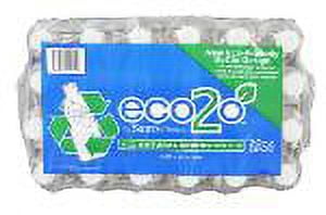 eco2o Natural Spring Water, 20 fl oz, 24 Count - Walmart.com