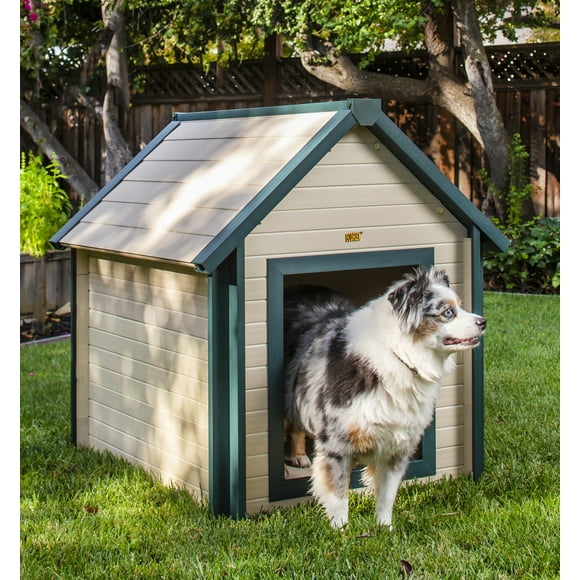 Large Dog House