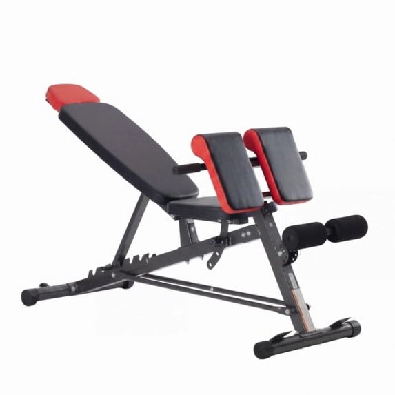edx Adjustable Weight Bench, Foldable Workout Bench with Back Extension ...