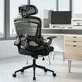 edx Ergonomic Office Chair, Mesh Computer Desk Chair with Lumbar ...
