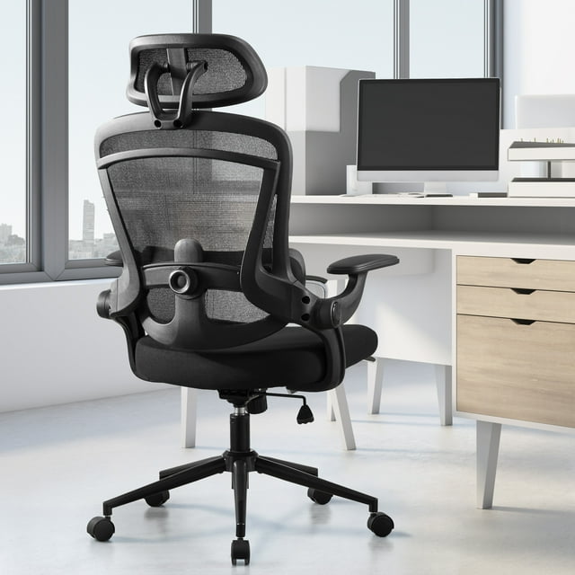 edx Ergonomic Office Chair, Mesh Computer Desk Chair with Lumbar ...