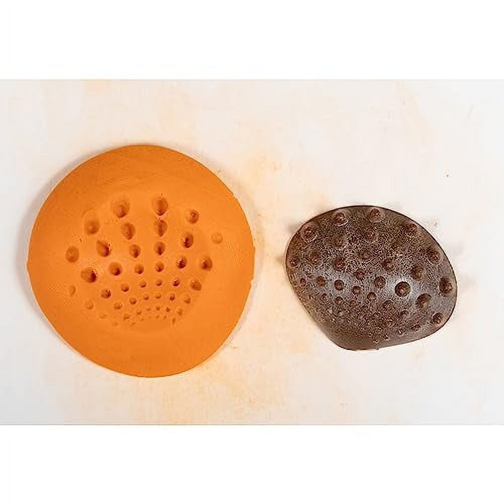 edxeducation Tactile Shells - Eco-Friendly - 36 Pieces, 6 Textures, 3 ...