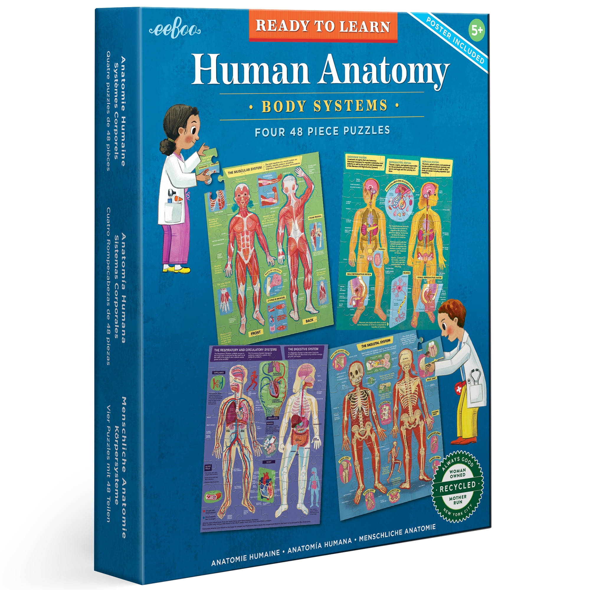 eeBoo: Ready to Learn: Human Anatomy 4-Puzzles - Body Systems Set of 4 ...