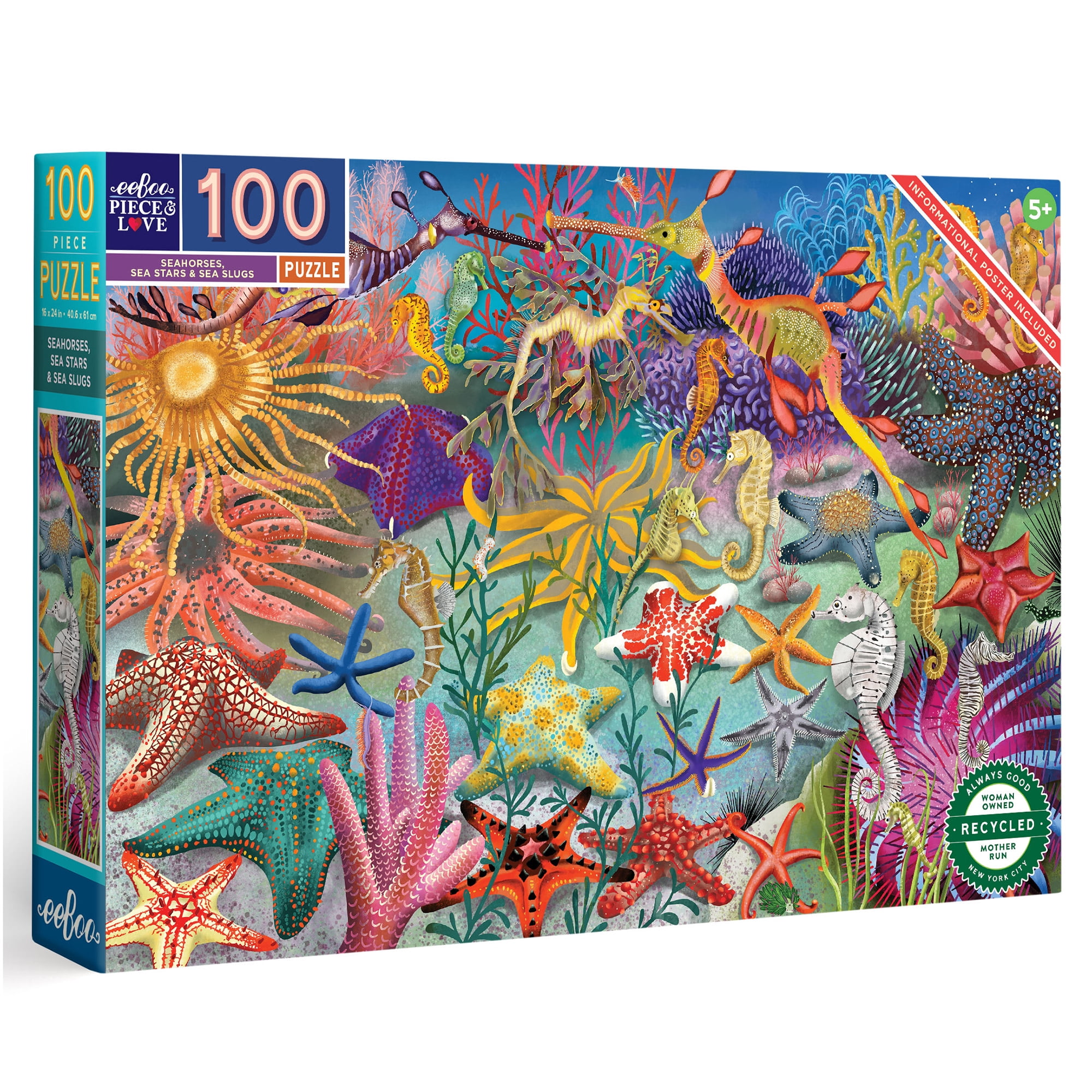 eeBoo: Seahorses, Sea Stars & Sea Slugs - 100 Piece Puzzle - 27 x 18 ...