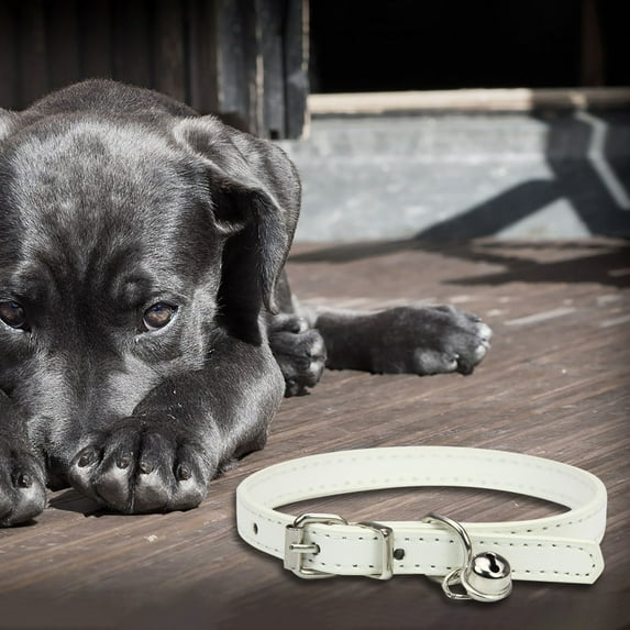 erfcxs Candy Color Pet Collar Minimalist Cat Collar With & Adjustable ...