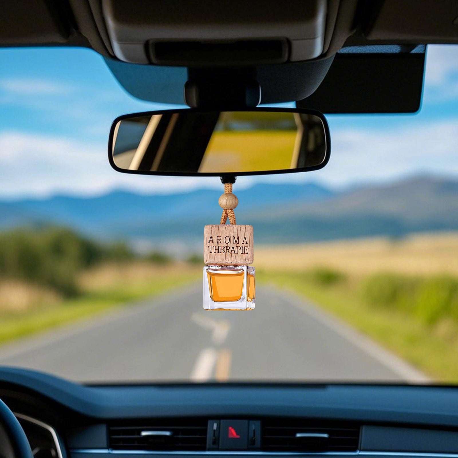 erfcxs Car Air Hanging Fragrance Oil Diffuser – Car Air Diffuser For ...