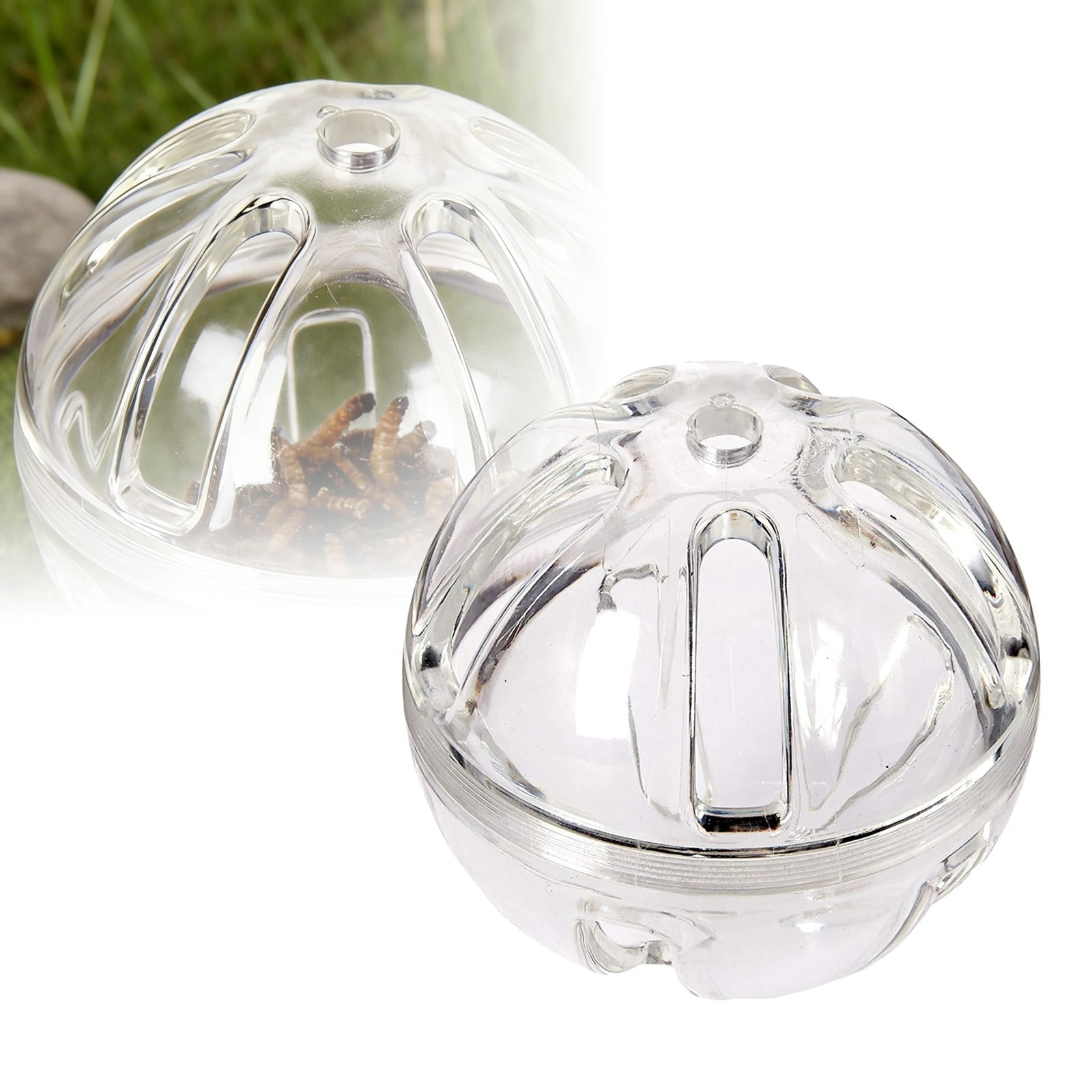 erfcxs Feeding Foraging Foraging Parrot Foraging Device Food Taking ...