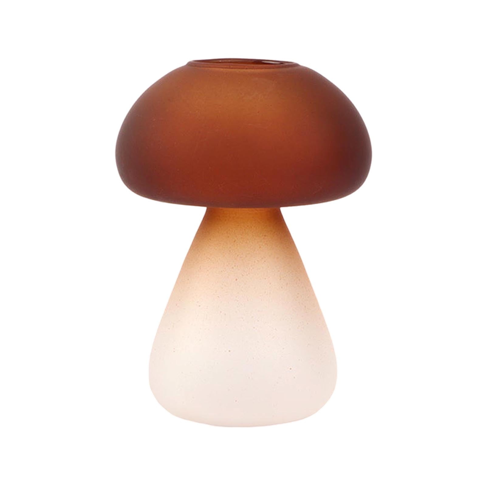 erfcxs Hydroponic Vase Style Glass Flower Bud Vase Vase Suitable For ...