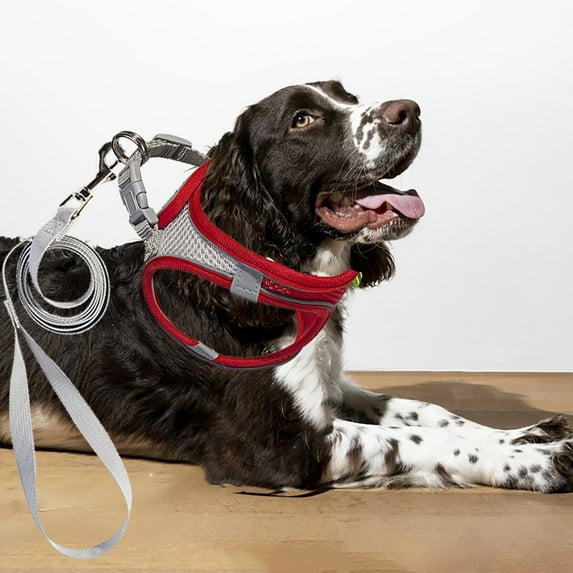 erfcxs No Pull Dog Harness Vest With Leash Reflective Nylon Pet Walking ...