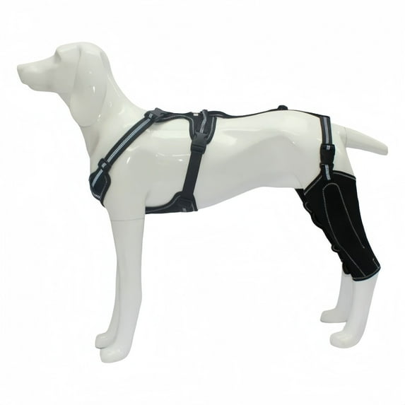 erfcxs Pet Protective Gear Dog Legs Double Protective Gear Auxiliary ...