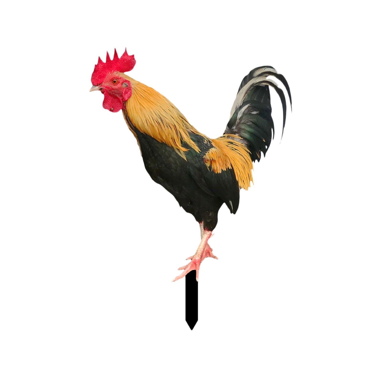 erfcxs Poultry Decoration Courtyard Card Size Card Decoration Courtyard ...