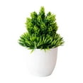 erfcxs Realistic Mini Potted Pineapple Succulent Greenery For Home Desk ...