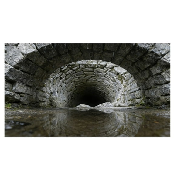 erfcxs Soft Shaggy Area Rug Floor Carpet For Living Room Bedroom Home ...