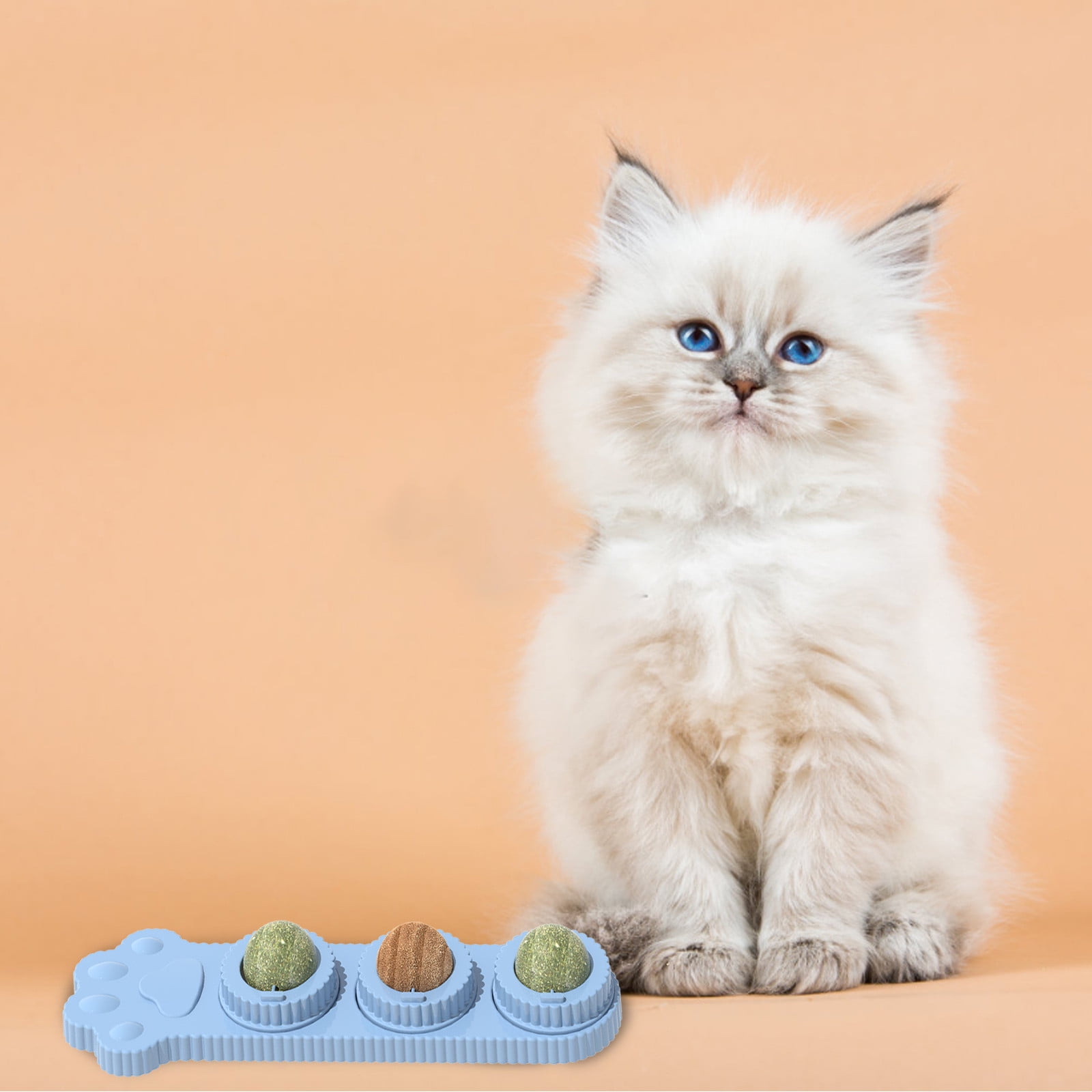 erfcxs Three In A Polygonum Licko Grinding Teeth Clean Teeth From Hi ...