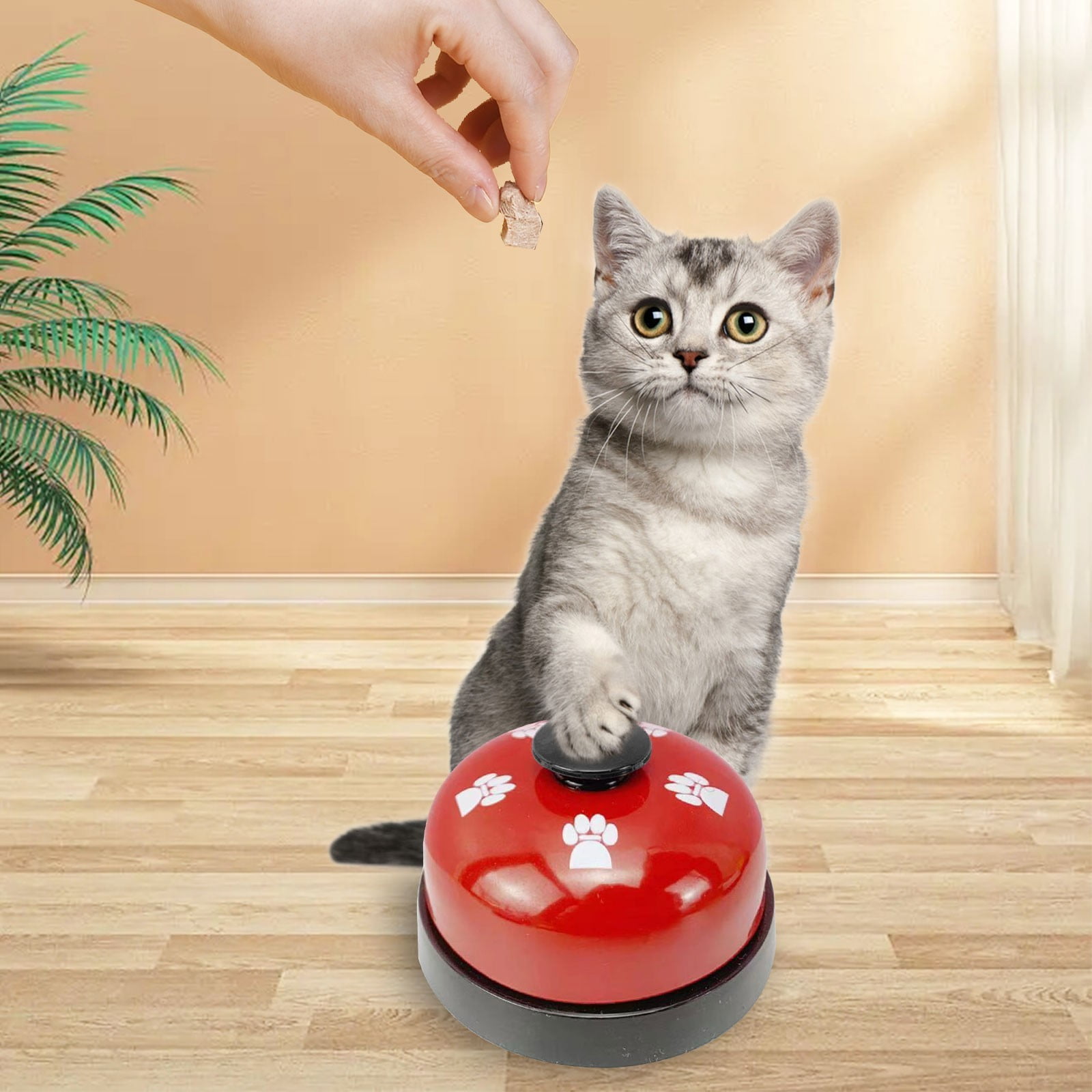 erfcxs Transform Your Pet's Communication With Our Pet Dining For Pet ...