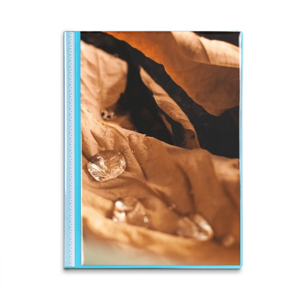fallen nature photography Book Sheet Protectors Portfolio Binder Folder ...