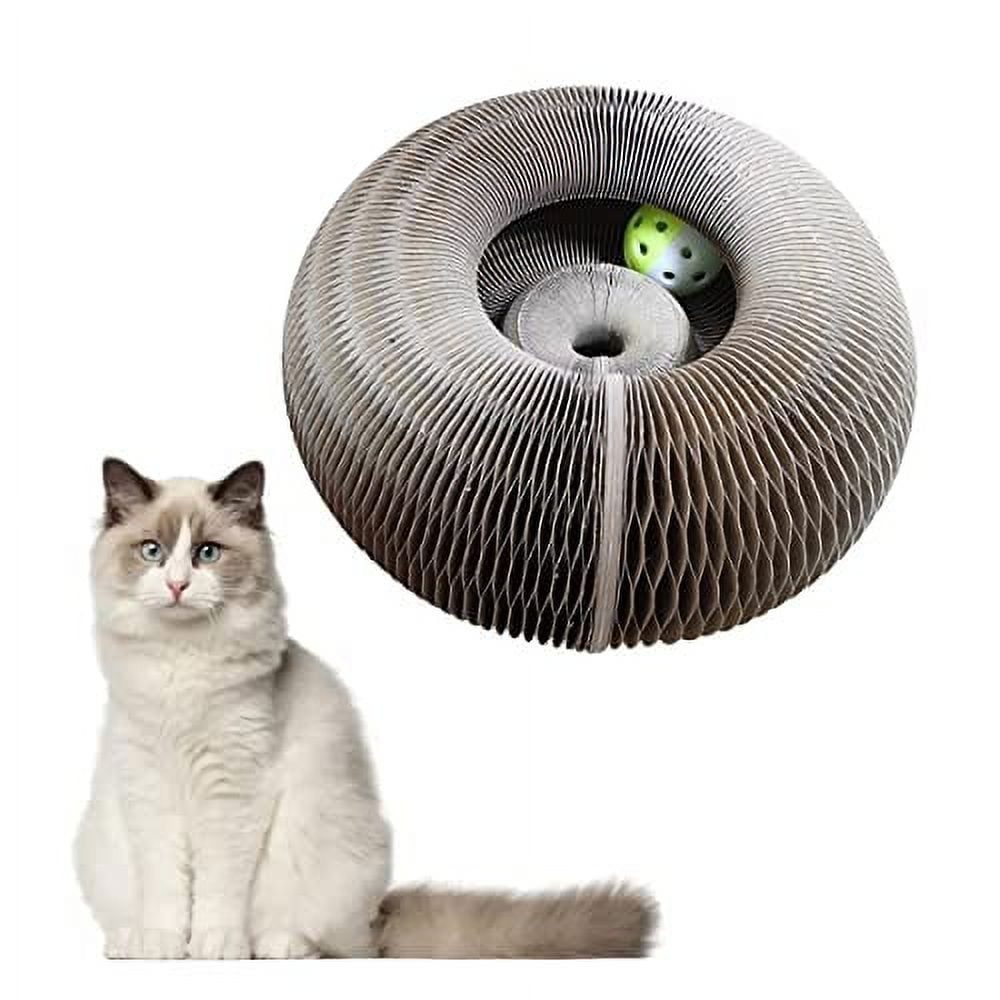 fenze accordion Cat Catcher - Foldable Cat Toy with Catball, Fun ...