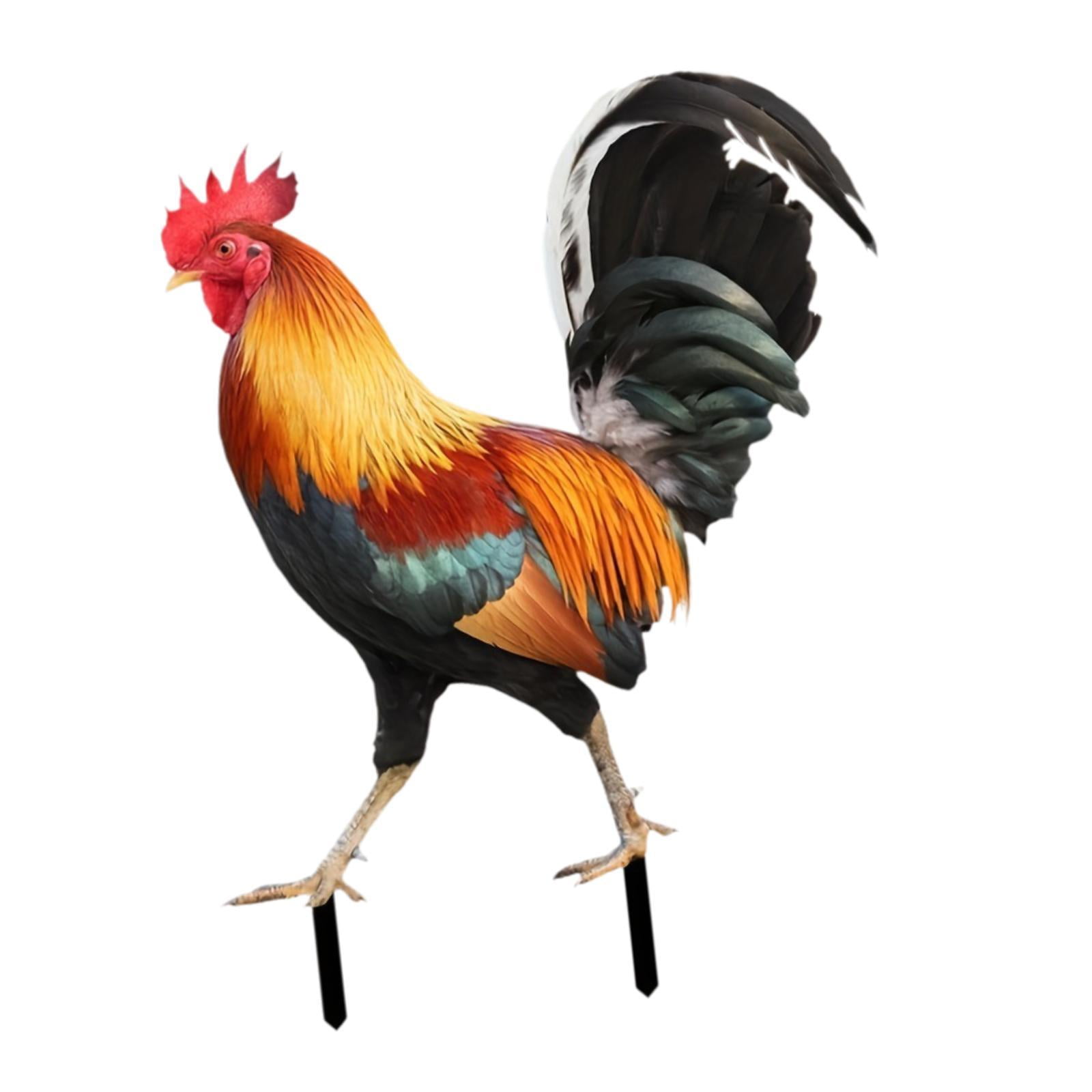 figatia Acrylic Garden Stake Garden Decoration Sturdy Acrylic Statue ...