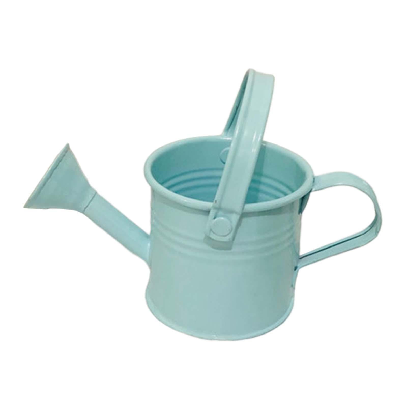 figatia Plant Watering Can Sprinkling Can Watering Plants Sturdy Modern ...