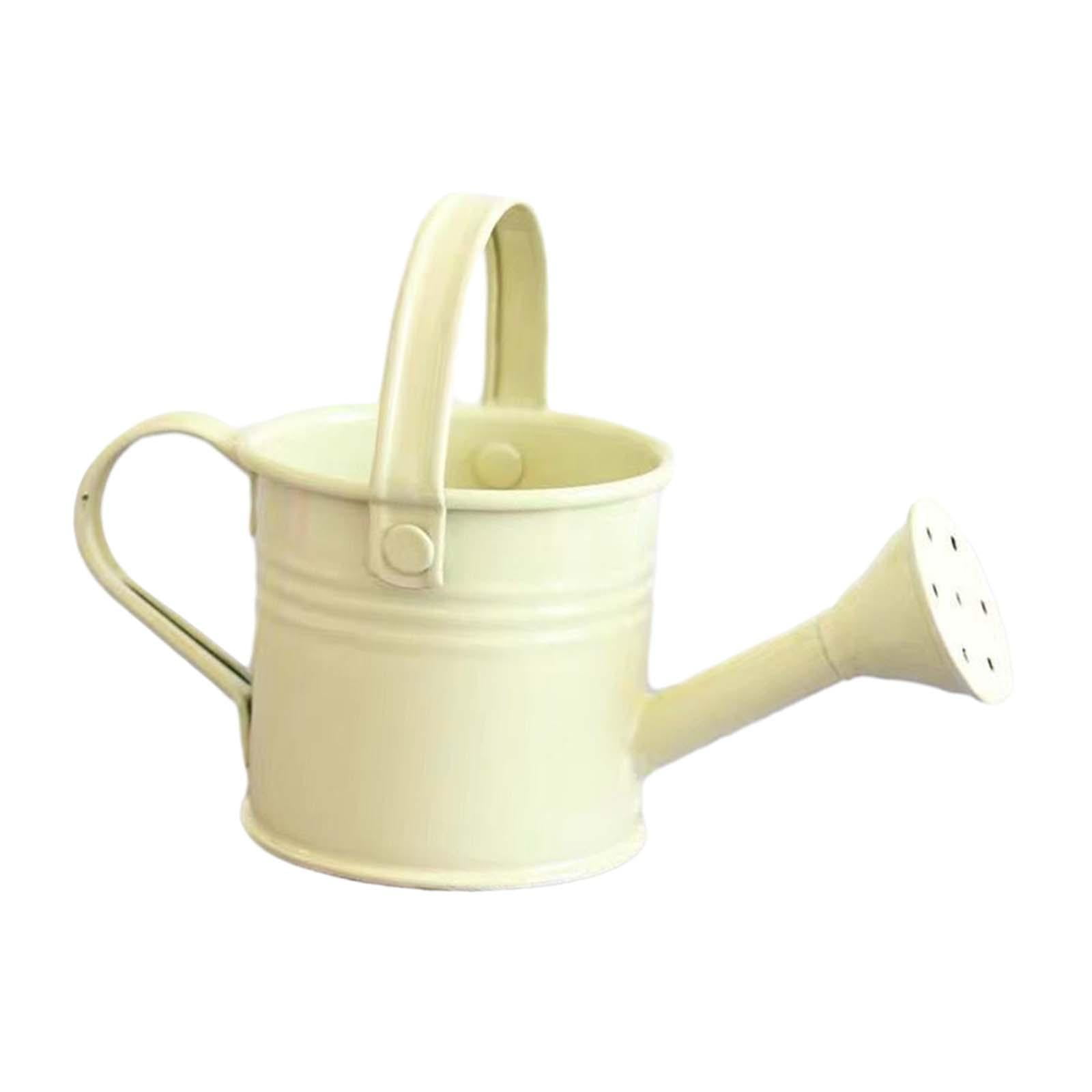 figatia Plant Watering Can Sprinkling Can Watering Plants Sturdy Modern ...