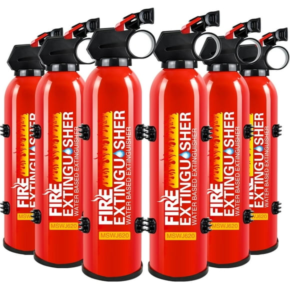 Small Fire Extinguisher