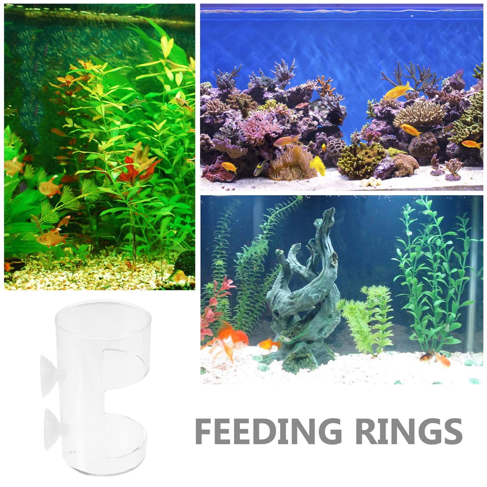fish feeder,Fish Feeder Clear Aquarium Fish Tank Circle Ring Fish ...