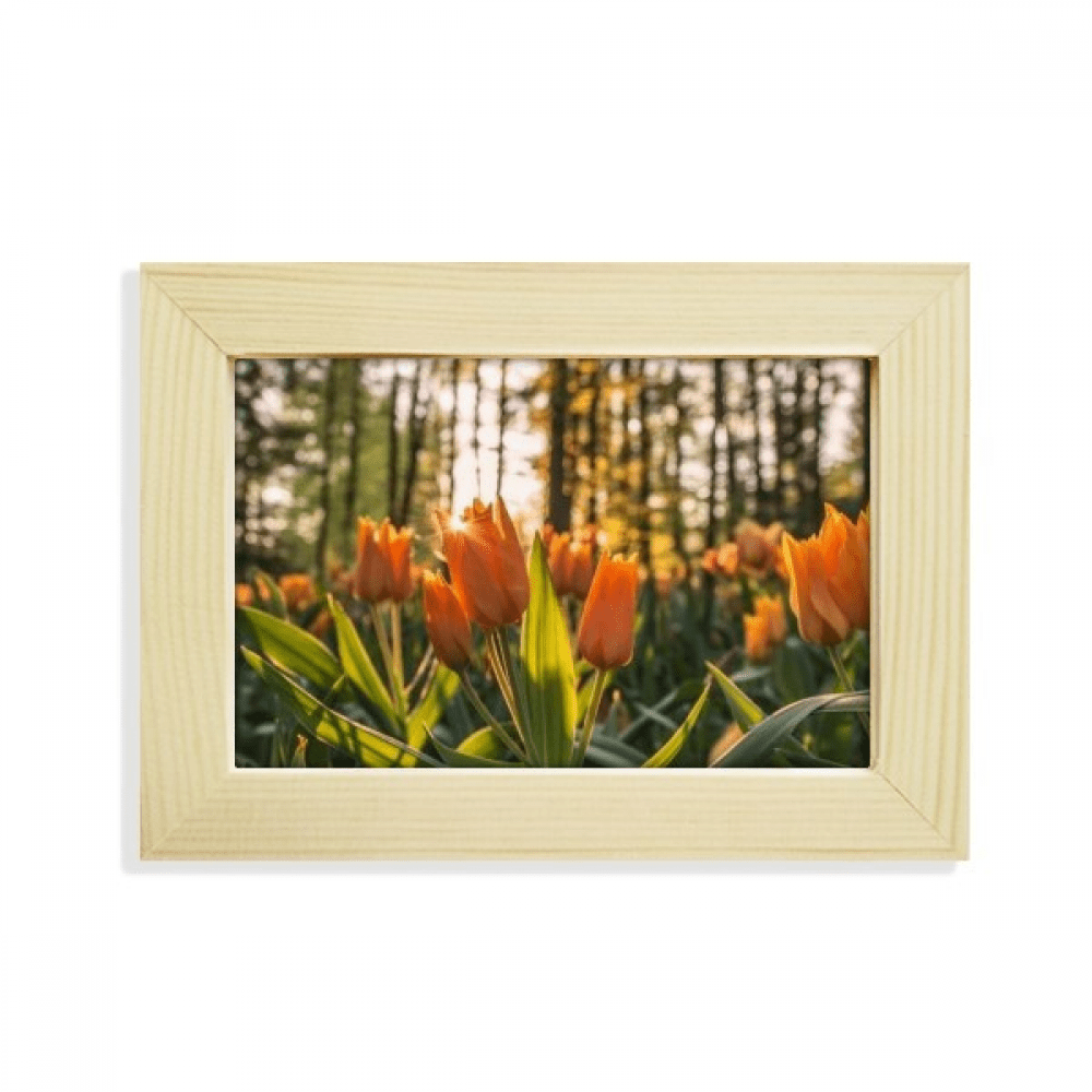flower ry science nature scenery desktop decorate photo frame picture ...